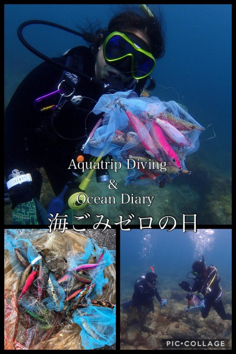 Ocean Diary ＆ Aquatrip Divingの活動報告| 海ごみゼロウィーク